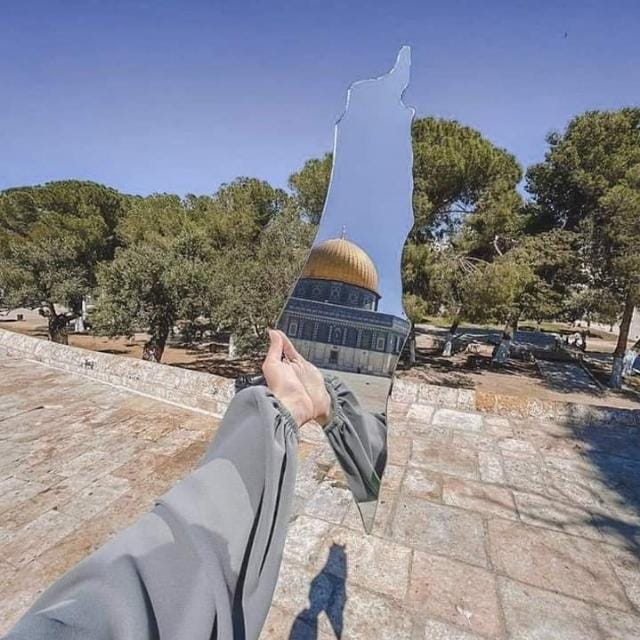 اعضاء الفريق