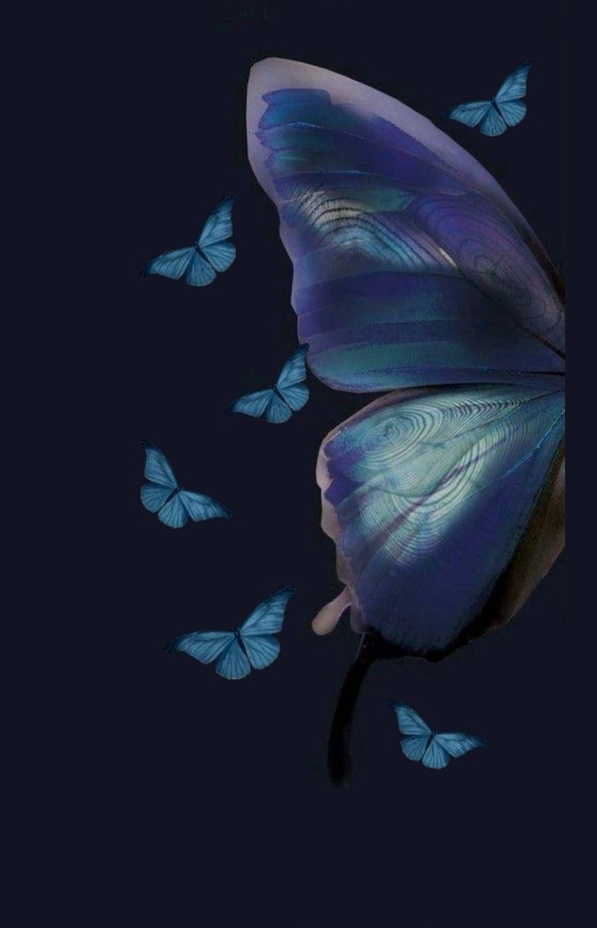 اعضاء الفريق